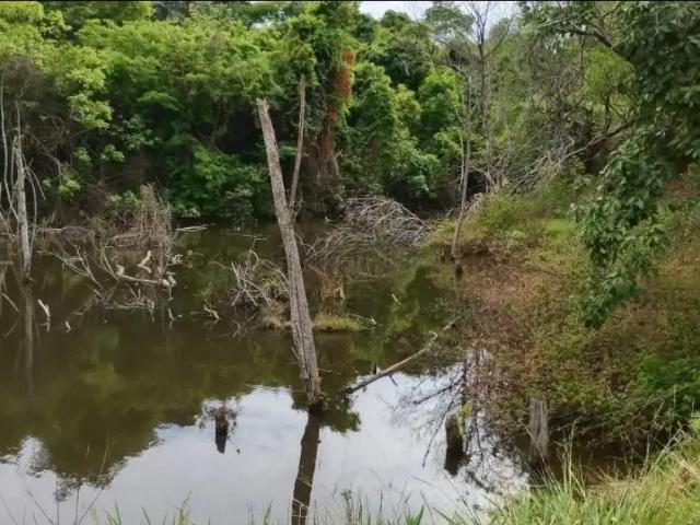 Sítio / Chácara para Venda em Caldas Novas/GO Zona Rural