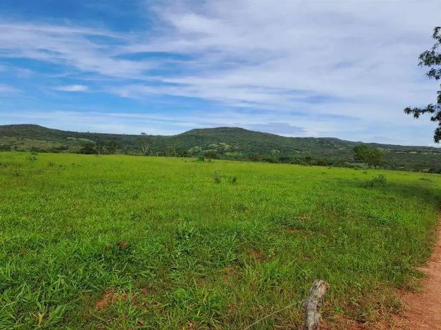 Sítio / Chácara para Venda em Caldas Novas/GO Zona Rural 2 Quartos