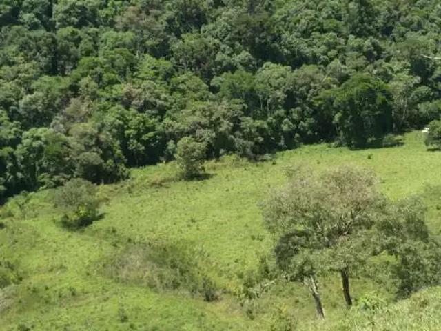 Sítio / Chácara para Venda em Caldas/MG Centro