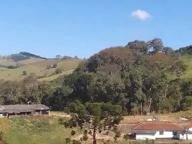 Sítio / Chácara para Venda em Caldas/MG Centro