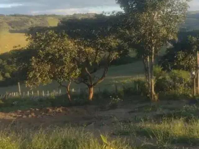 Sítio / Chácara para Venda em Caldas/MG Centro 3 Quartos