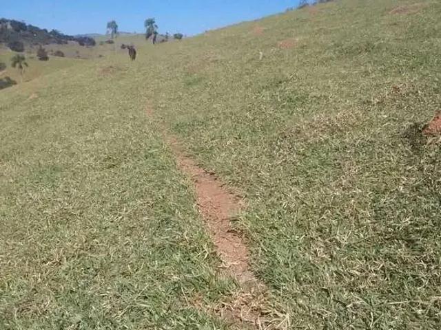 Sítio / Chácara para Venda em Caldas/MG Centro