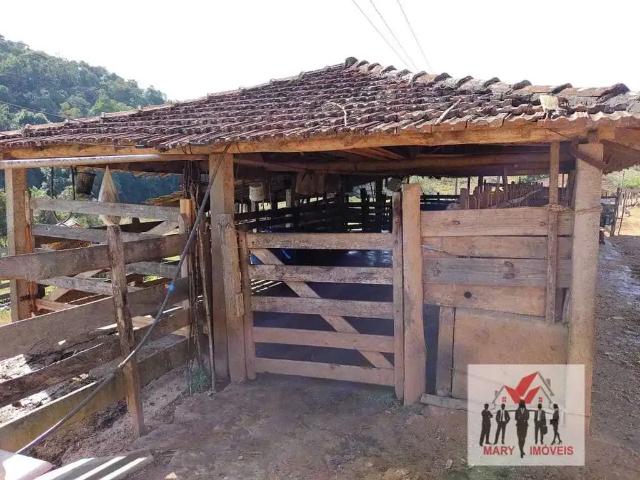 Sítio / Chácara para Venda em Caldas/MG Centro