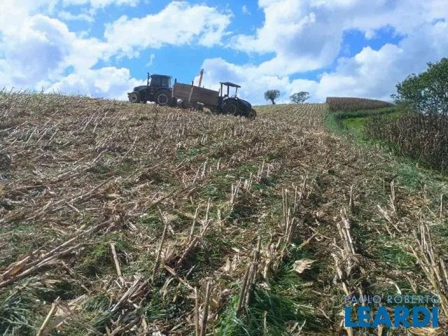 Sítio / Chácara para Venda em Caldas/MG Santana de Caldas