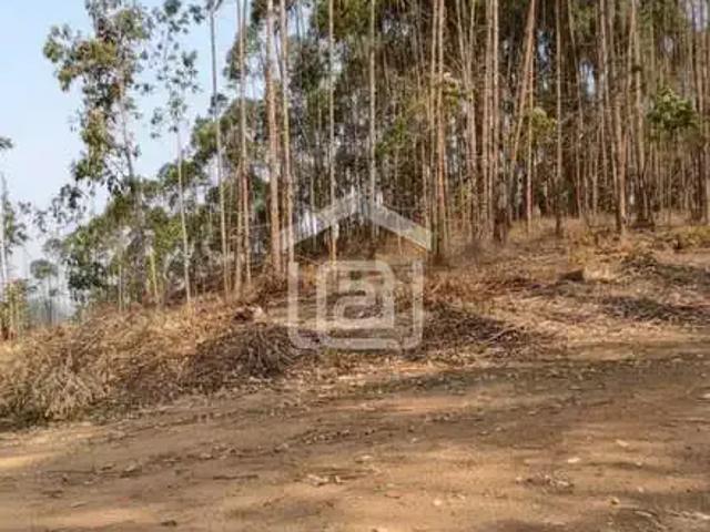 Sítio / Chácara para Venda em Caldas/MG Pocinhos do Rio Verde