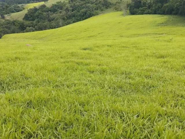 Sítio / Chácara para Venda em Caldas/MG Rio Pardo
