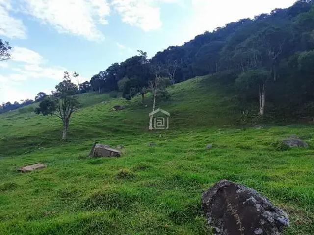 Sítio / Chácara para Venda em Caldas/MG Zona Rural
