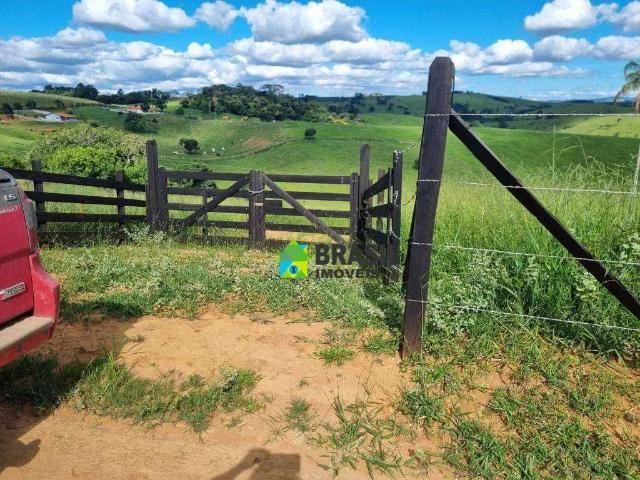 Sítio / Chácara para Venda em Caldas/MG Zona Rural