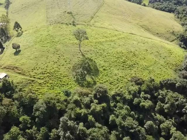 Sítio / Chácara para Venda em Caldas/MG Zona Rural 3 Quartos