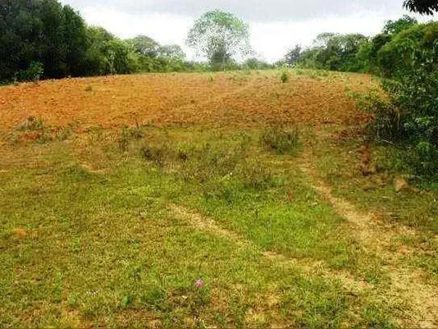 Sítio / Chácara para Venda em Camaçari/BA Abrantes
