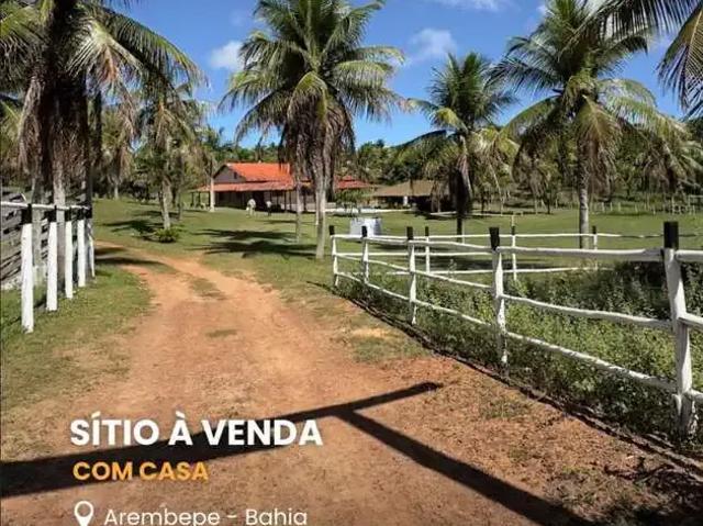 Sítio / Chácara para Venda em Camaçari/BA Arembepe Abrantes 4 Quartos