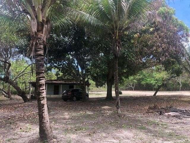 Sítio / Chácara para Venda em Camaçari/BA Centro