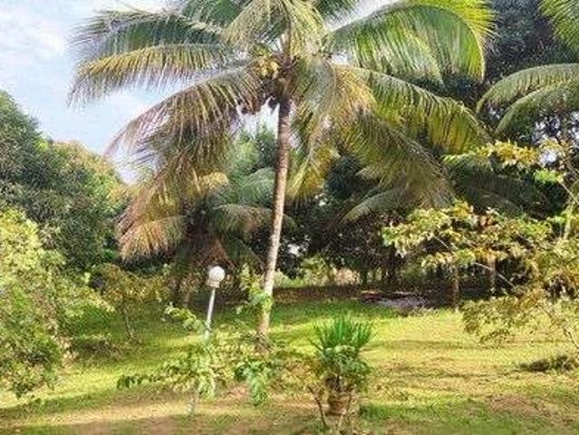 Sítio / Chácara para Venda em Camaçari/BA Monte Gordo 4 Quartos