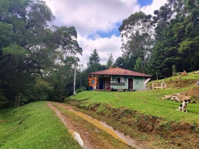 Sítio / Chácara para Venda em Camanducaia/MG Bom Jardim
