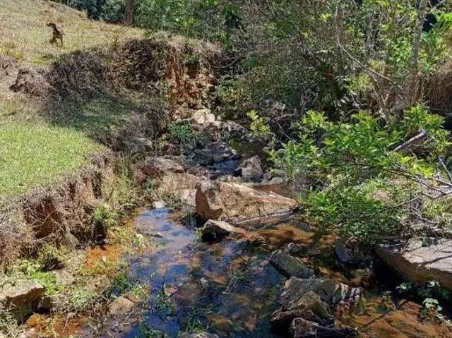 Sítio / Chácara para Venda em Camanducaia/MG Centro