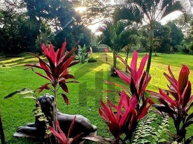 Sítio / Chácara para Venda em Camaragibe/PE Aldeia 5 Quartos