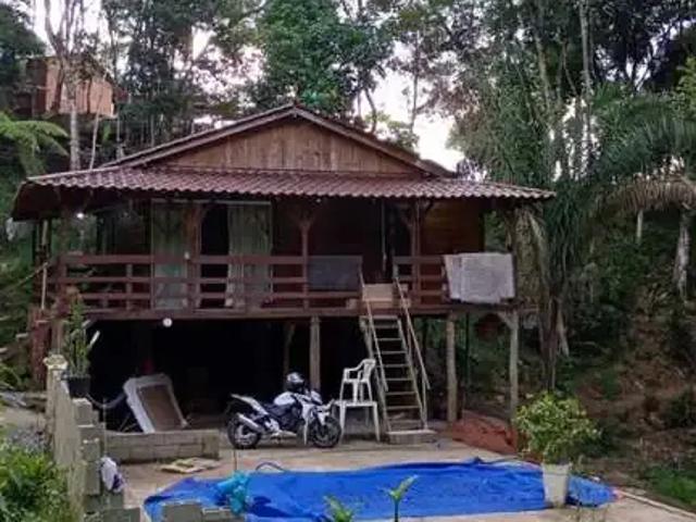 Sítio / Chácara para Venda em Camboriú/SC Área Rural de Camboriú 3 Quartos