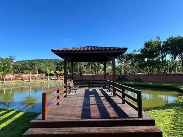 Sítio / Chácara para Venda em Camboriú/SC Área Rural de Camboriú 4 Quartos