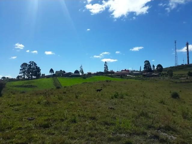 Sítio / Chácara para Venda em Cambará do Sul/RS Centro