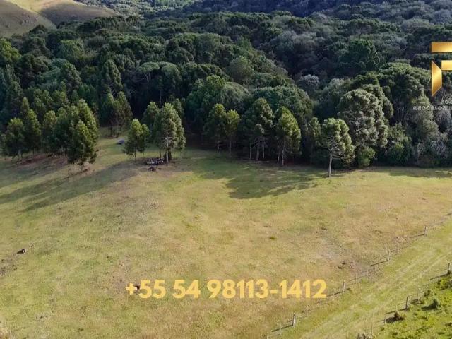 Sítio / Chácara para Venda em Cambará do Sul/RS Centro