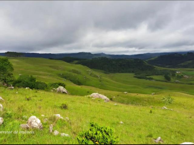 Sítio / Chácara para Venda em Cambará do Sul/RS Osvaldo Kroeff