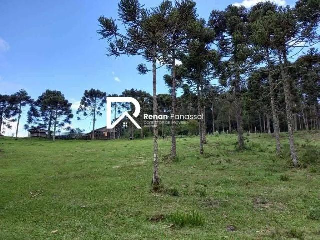 Sítio / Chácara para Venda em Cambará do Sul/RS Osvaldo Kroeff 3 Quartos