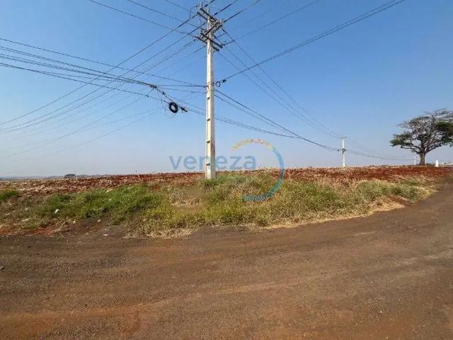 Sítio / Chácara para Venda em Cambé/PR Vila Atalaia