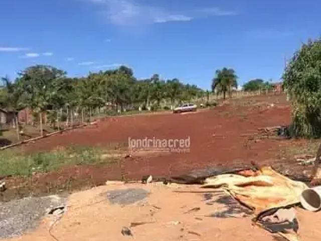 Sítio / Chácara para Venda em Cambé/PR Área Rural de Cambé