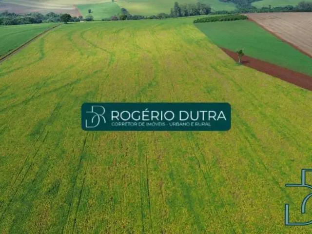 Sítio / Chácara para Venda em Cambé/PR Recanto dos Pinheiros