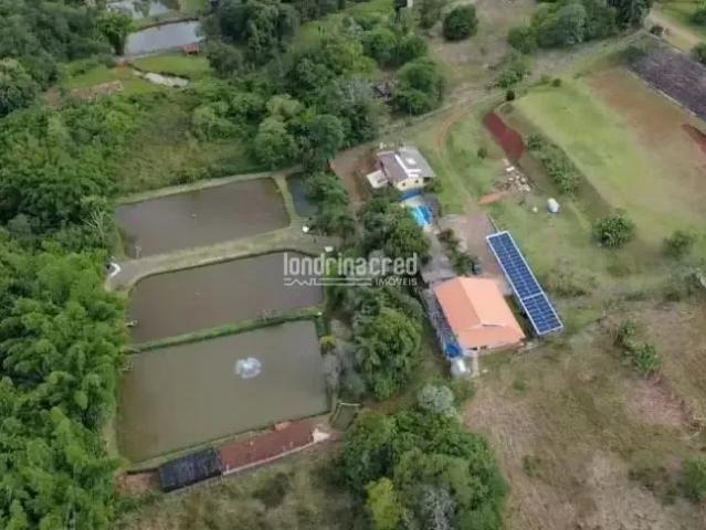 Sítio / Chácara para Venda em Cambé/PR Recanto Rancho Ringo 3 Quartos