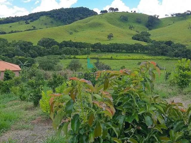 Sítio / Chácara para Venda em Cambuí/MG São Miguel 4 Quartos