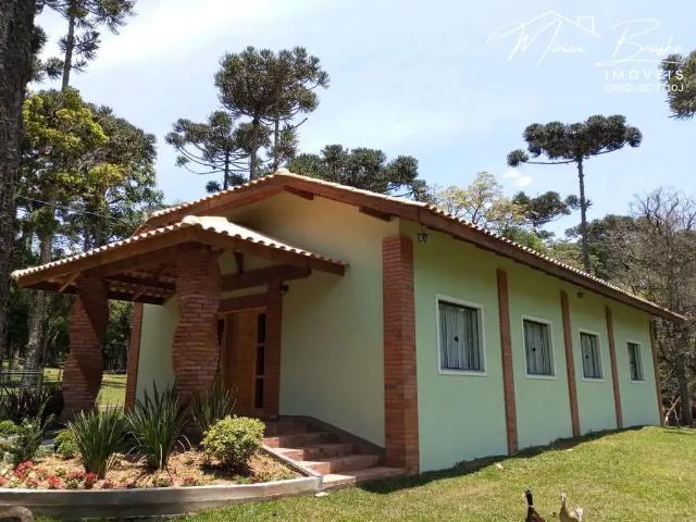 Sítio / Chácara para Venda em Campo Alegre/SC Centro
