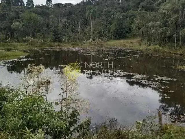 Sítio / Chácara para Venda em Campo Alegre/SC Centro 3 Quartos