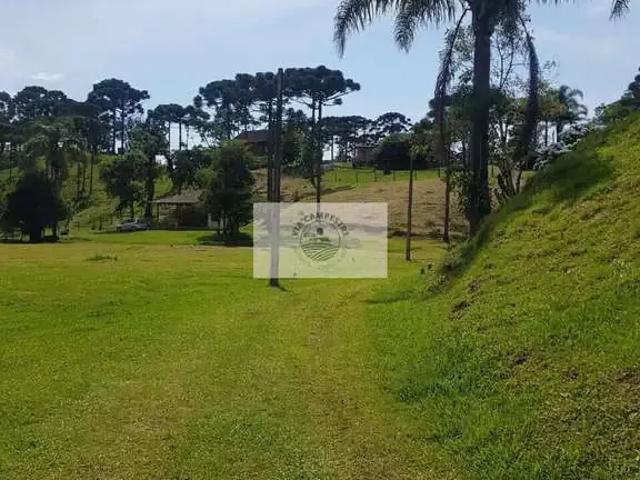 Sítio / Chácara para Venda em Campo Alegre/SC Centro 3 Quartos