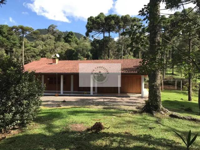 Sítio / Chácara para Venda em Campo Alegre/SC Centro 5 Quartos