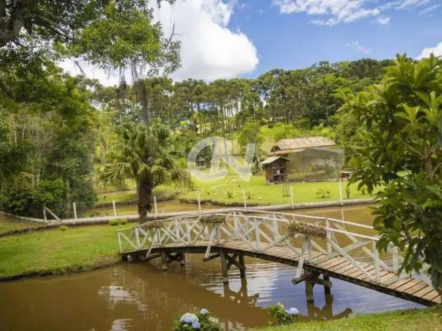 Sítio / Chácara para Venda em Campo Alegre/SC Avenquinha 5 Quartos