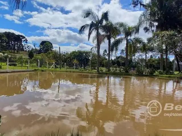 Sítio / Chácara para Venda em Campo Alegre/SC Avenquinha