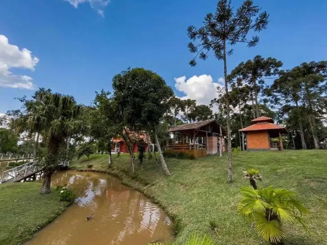 Sítio / Chácara para Venda em Campo Alegre/SC Avenquinha 3 Quartos