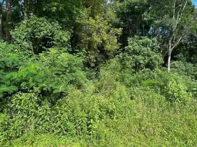 Sítio / Chácara para Venda em Campo Alegre/SC Bateias de Baixo