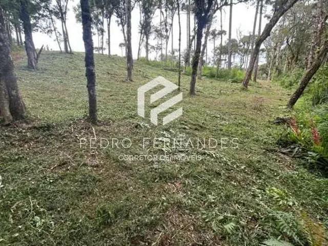 Sítio / Chácara para Venda em Campo Alegre/SC Bateias de Baixo