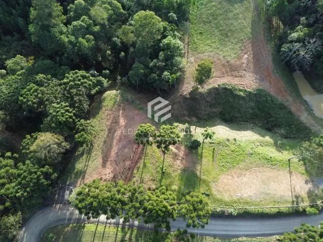 Sítio / Chácara para Venda em Campo Alegre/SC Bateias de Baixo