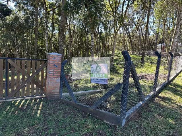 Sítio / Chácara para Venda em Campo Alegre/SC Bateias de Baixo 1 Quartos