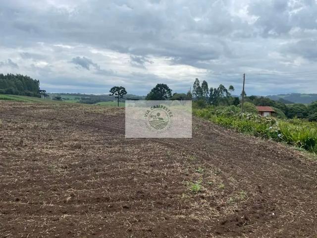 Sítio / Chácara para Venda em Campo Alegre/SC Bateias de Baixo 1 Quartos