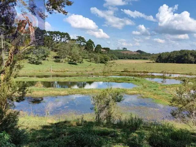 Sítio / Chácara para Venda em Campo Alegre/SC Bateias de Baixo 3 Quartos