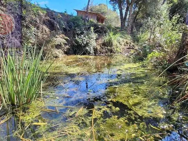 Sítio / Chácara para Venda em Campo Alegre/SC Bateias de Cima 3 Quartos