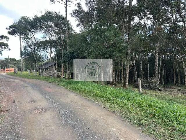 Sítio / Chácara para Venda em Campo Alegre/SC Lageado 1 Quartos