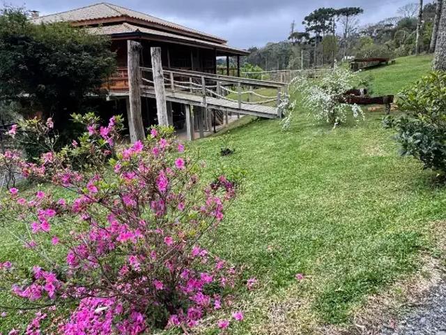 Sítio / Chácara para Venda em Campo Alegre/SC Salto do Engenho 4 Quartos