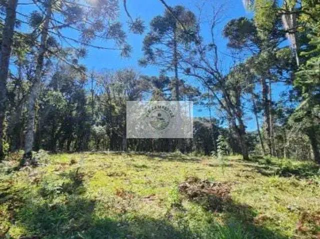 Sítio / Chácara para Venda em Campo Alegre/SC Saltinho 1 Quartos