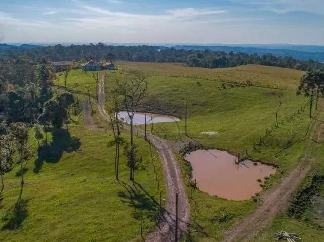 Sítio / Chácara para Venda em Campo Alegre/SC Rio Vermelho 1 Quartos
