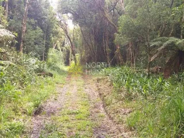 Sítio / Chácara para Venda em Campo Alegre/SC Zona Rural 1 Quartos